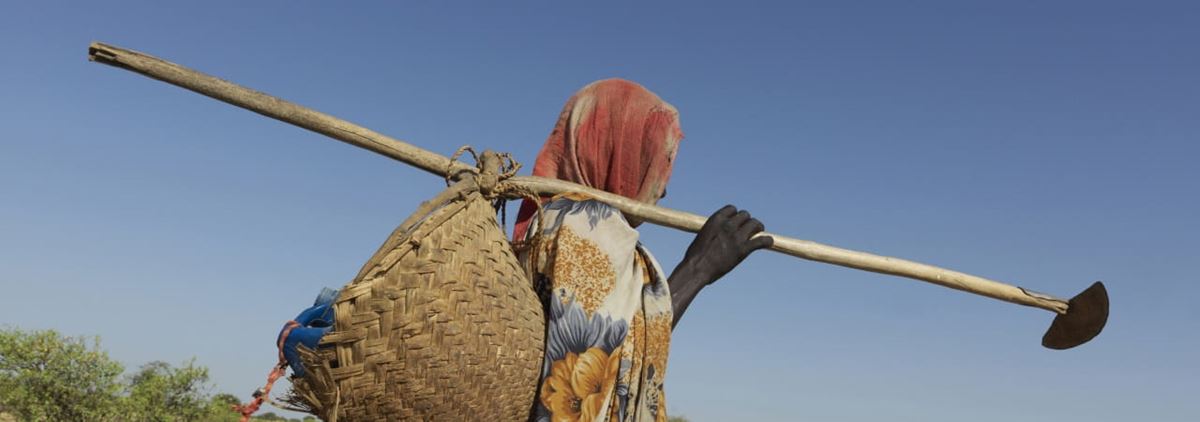Isaiah’s testimony: from pilot farmer to provider - Tearfund