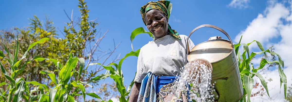 Learning to farm again - Tearfund