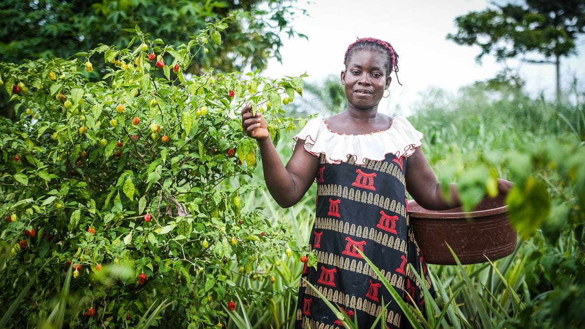 Tearfund's Impact Statements - Tearfund