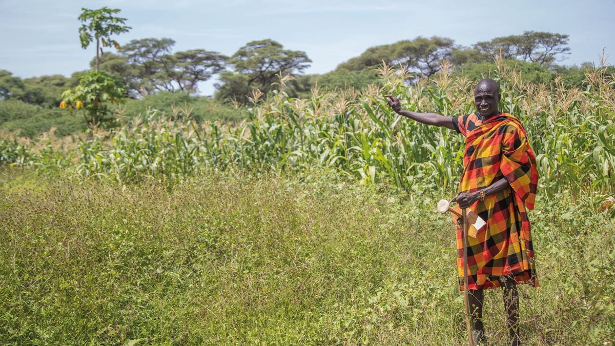 Prayer Diary: new dawn in Nasuret - Tearfund