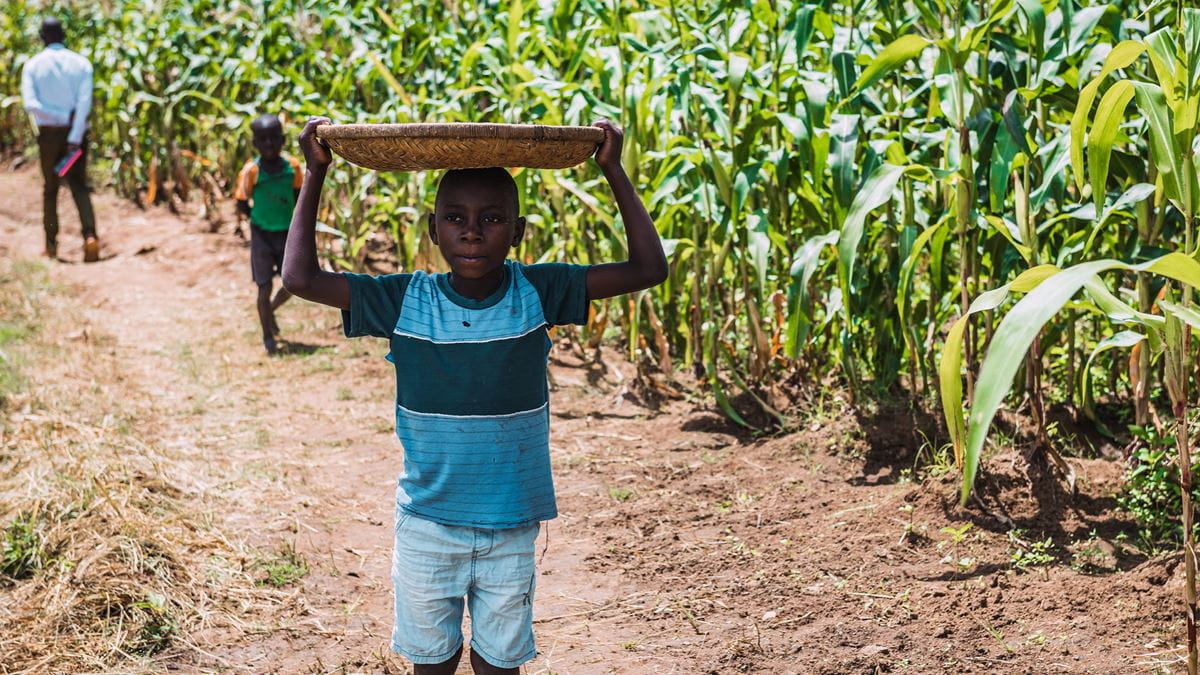 Praying for children trapped in child labour - Tearfund