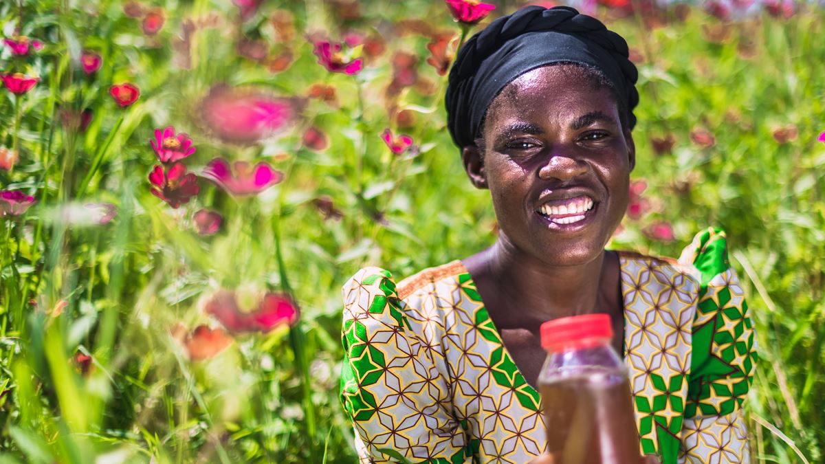 How trees and bees brought a community in Malawi together - Tearfund