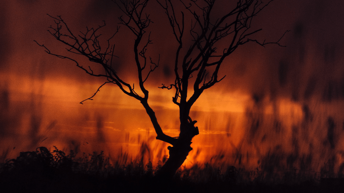 Three things you can do when the world gets too hot - Tearfund