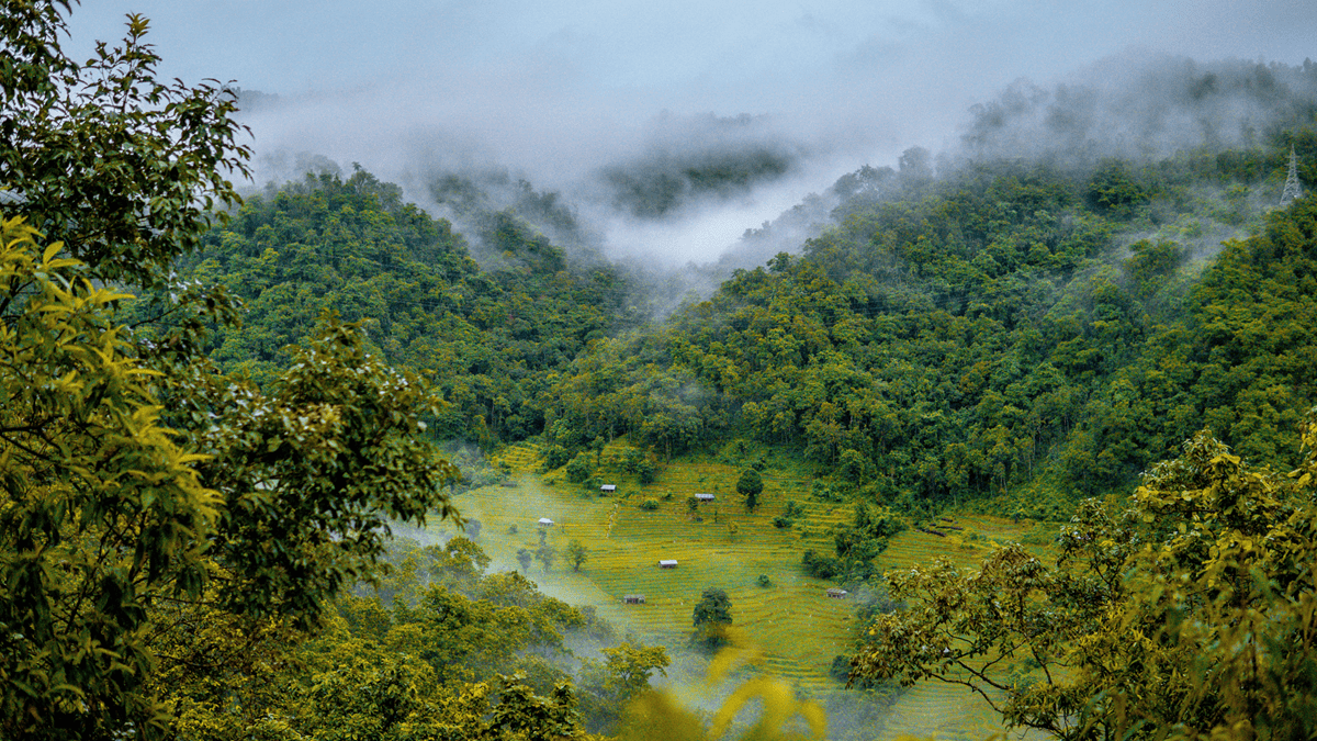 Trees of life: agroforestry and Tearfund in Nepal - Tearfund